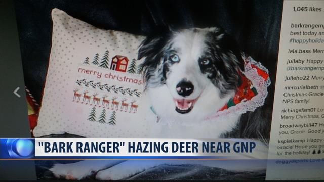 KBZK.com Bozeman Continuous News - KBZK.com | Continuous News | Bozeman ...