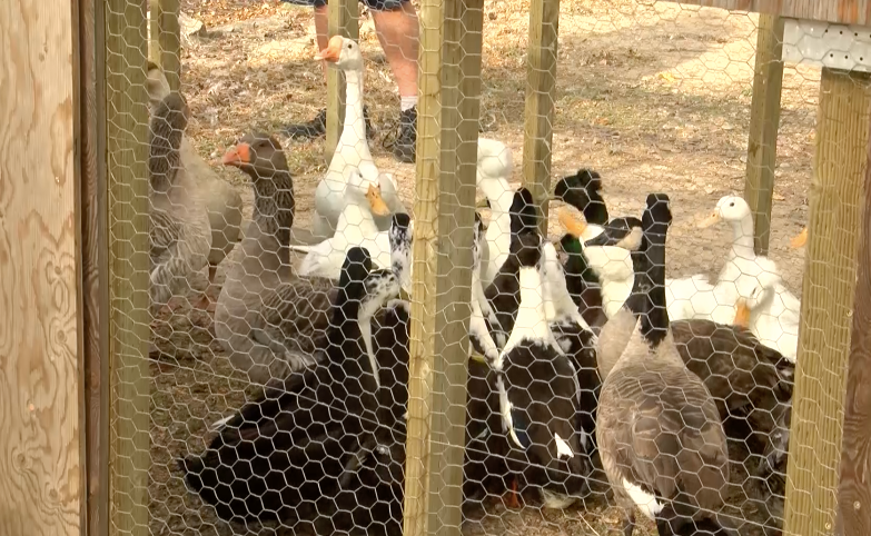 KBZK.com Bozeman Continuous News - KBZK.com | Continuous News | Bozeman ...