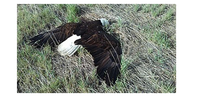 KBZK.com Bozeman Continuous News - KBZK.com | Continuous News | Bozeman ...